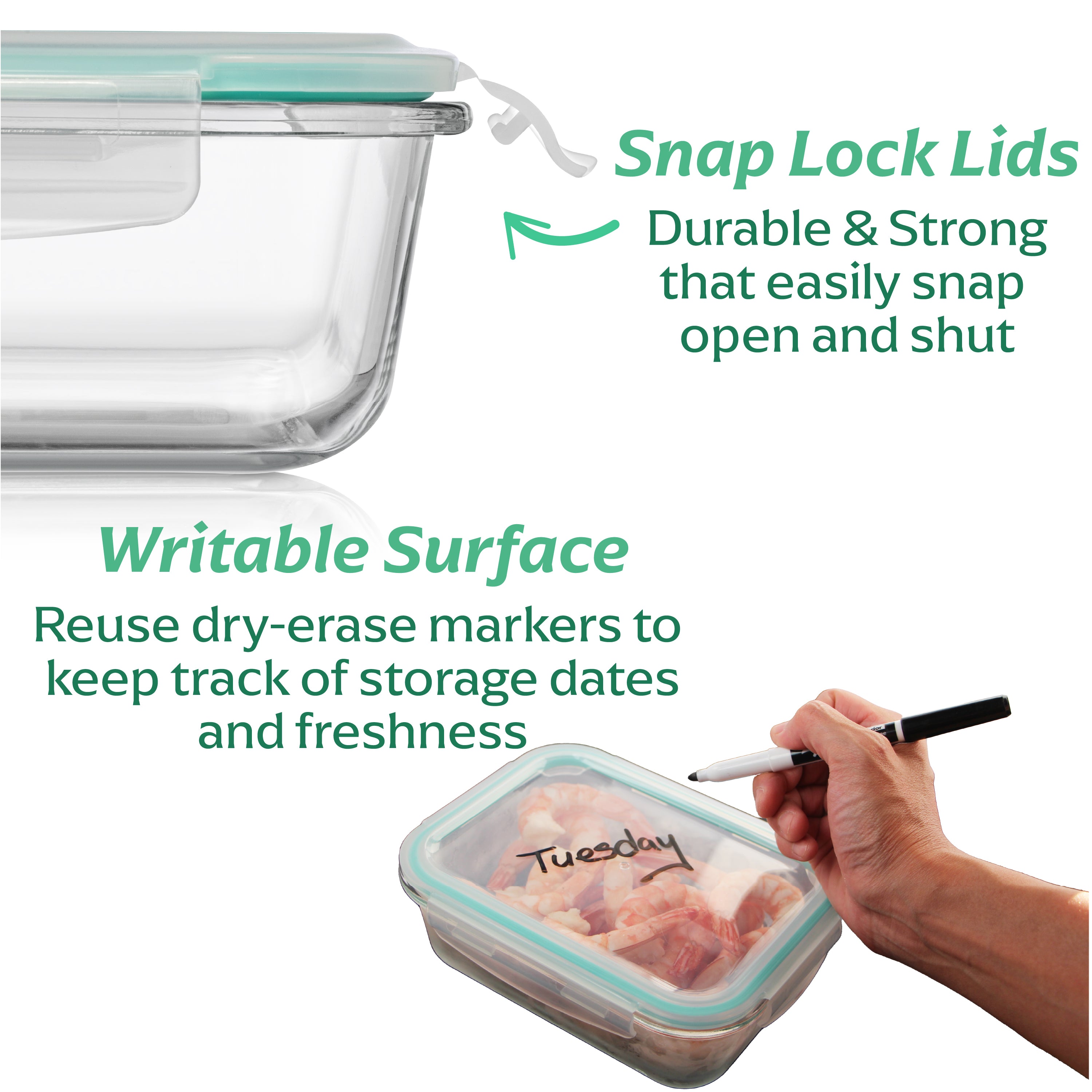 Fusion Gourmet Glass Food Storage Containers