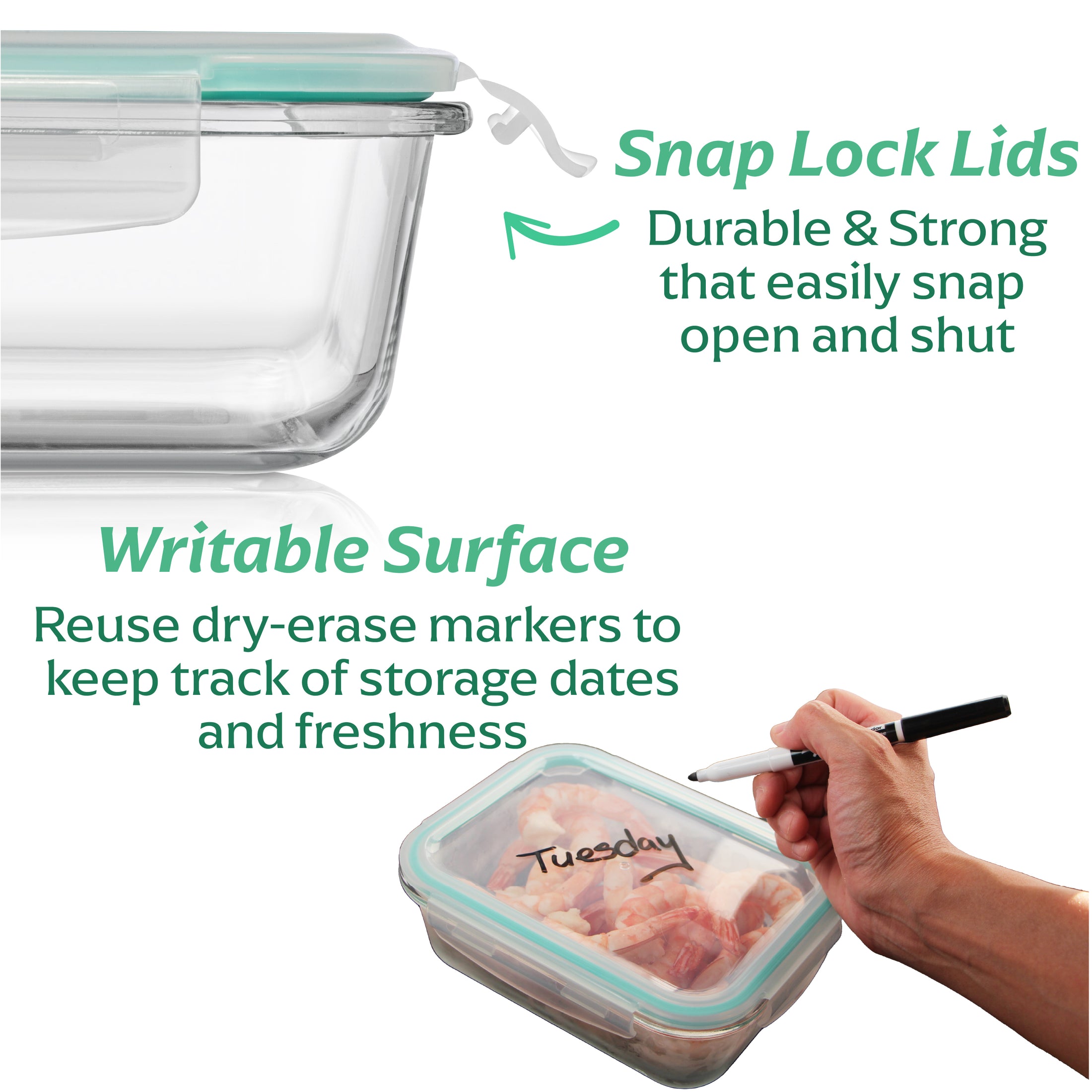 Fusion Gourmet Glass Food Storage Containers
